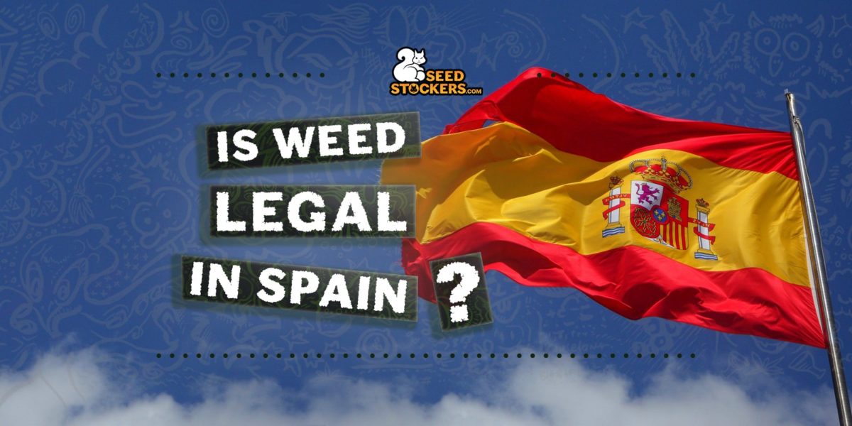 Is Weed Legal in Spain? Easily explained | Weedstockers